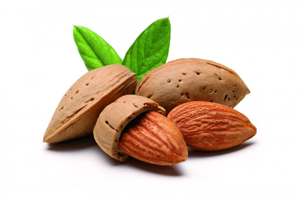 Les Oléagineux : Qui sont-ils ? – FIT-INNOV' – Innovation Fitness ...